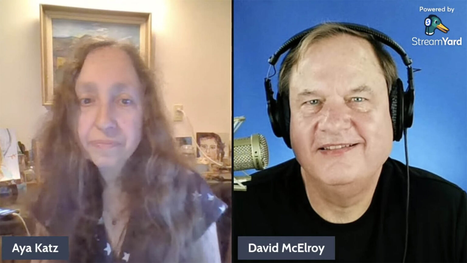 David McElroy - making sense of a dysfunctional culture