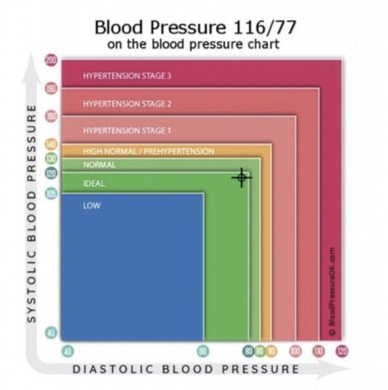 I feel despair about evil tonight, but my cats offer some comfort